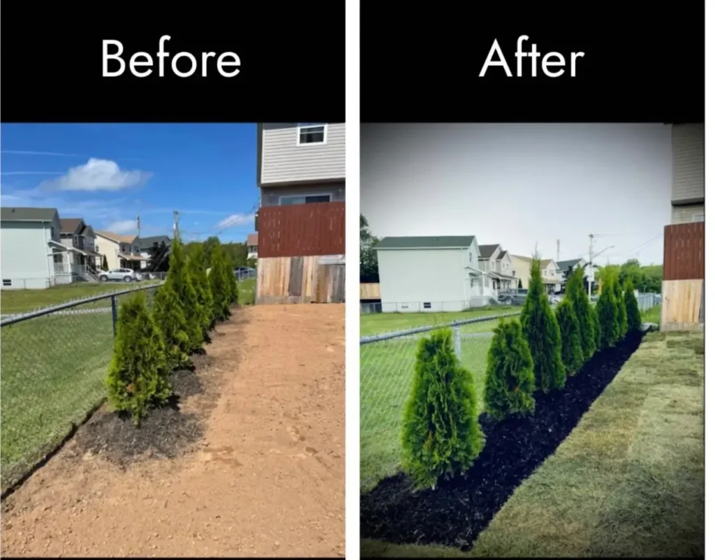 Gallery - Universal Landscaping